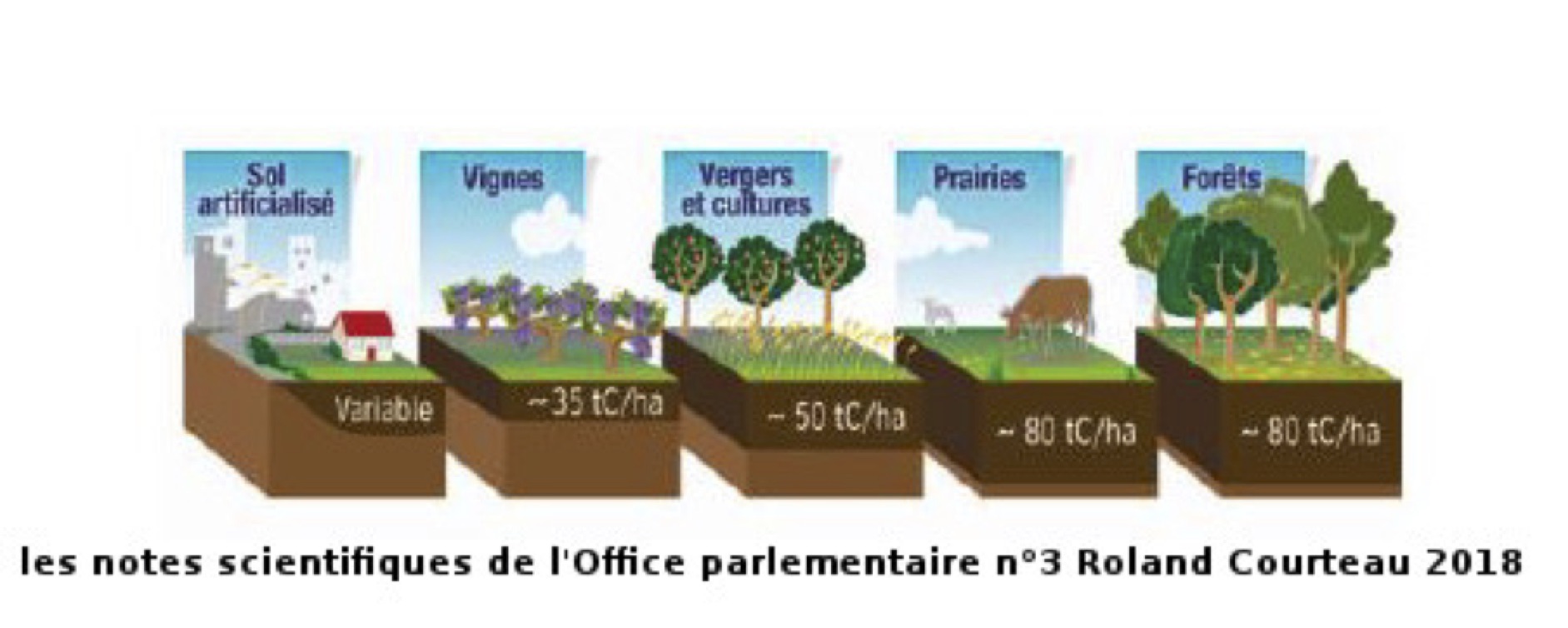 Ce n'est vraiment pas le moment de défricher...