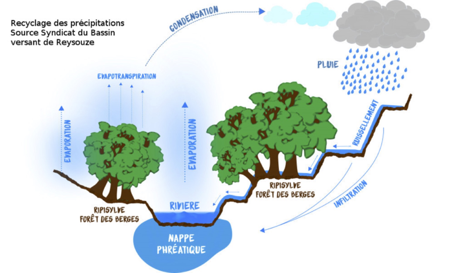 Ce n'est vraiment pas le moment de défricher...